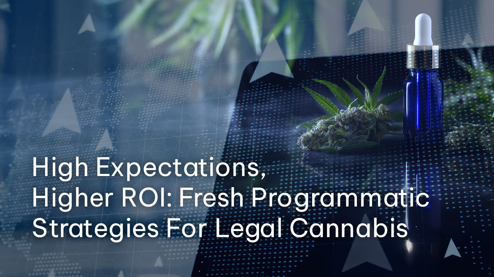 High Expectations, Higher ROI: Fresh Programmatic Strategies For Legal ...