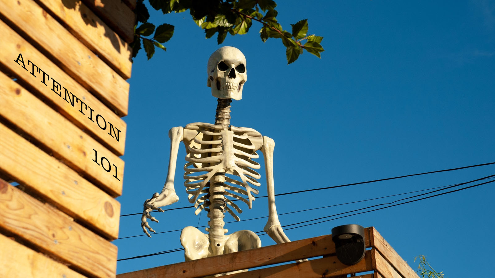 Lessons in Attention from Home Depot’s Giant Skeleton - Infillion